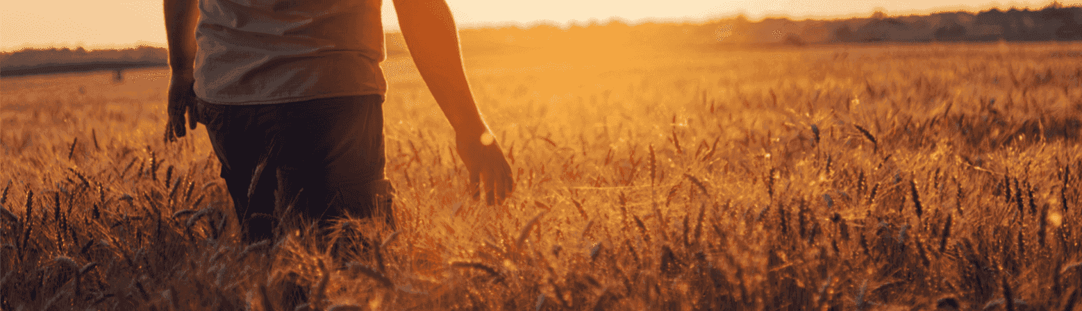 Guide to agronomic tools